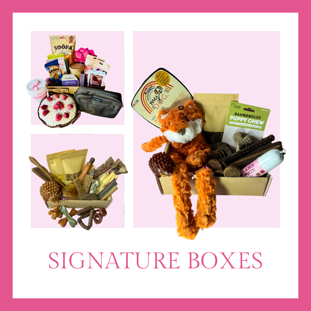 Treat Boxes – Wags and Wiggles Pets